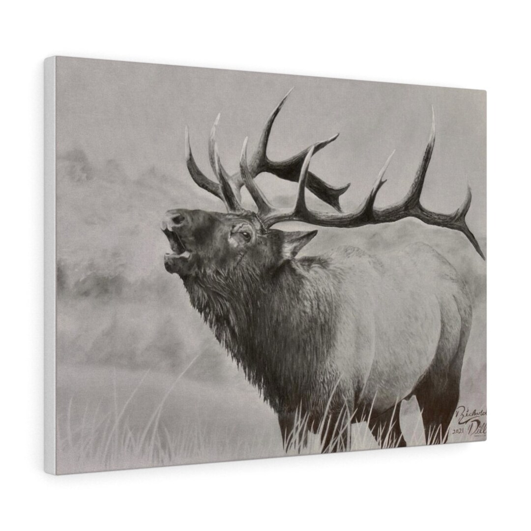 Rocky Mountain Rambler,elk,graphite,pencil,drawing,wall Art,canvas ...