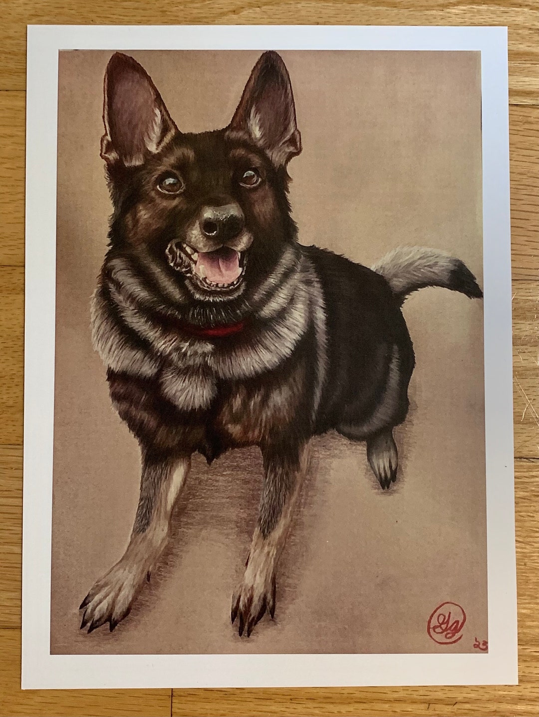 German Shepard Portrait - Etsy