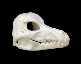 Skull Dog Fursuit - Etsy