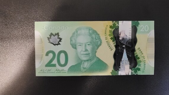 Canadian Money 20 Dollar Bill
