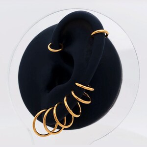 Cartilage Earring, Cartilage Hoop, Helix Hoop, Conch Hoop, Tragus Hoop ...