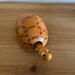 Vintage Czech Wooden Tortoise, Turtle, 1970s, Bobbing Wobbly Head Push ...
