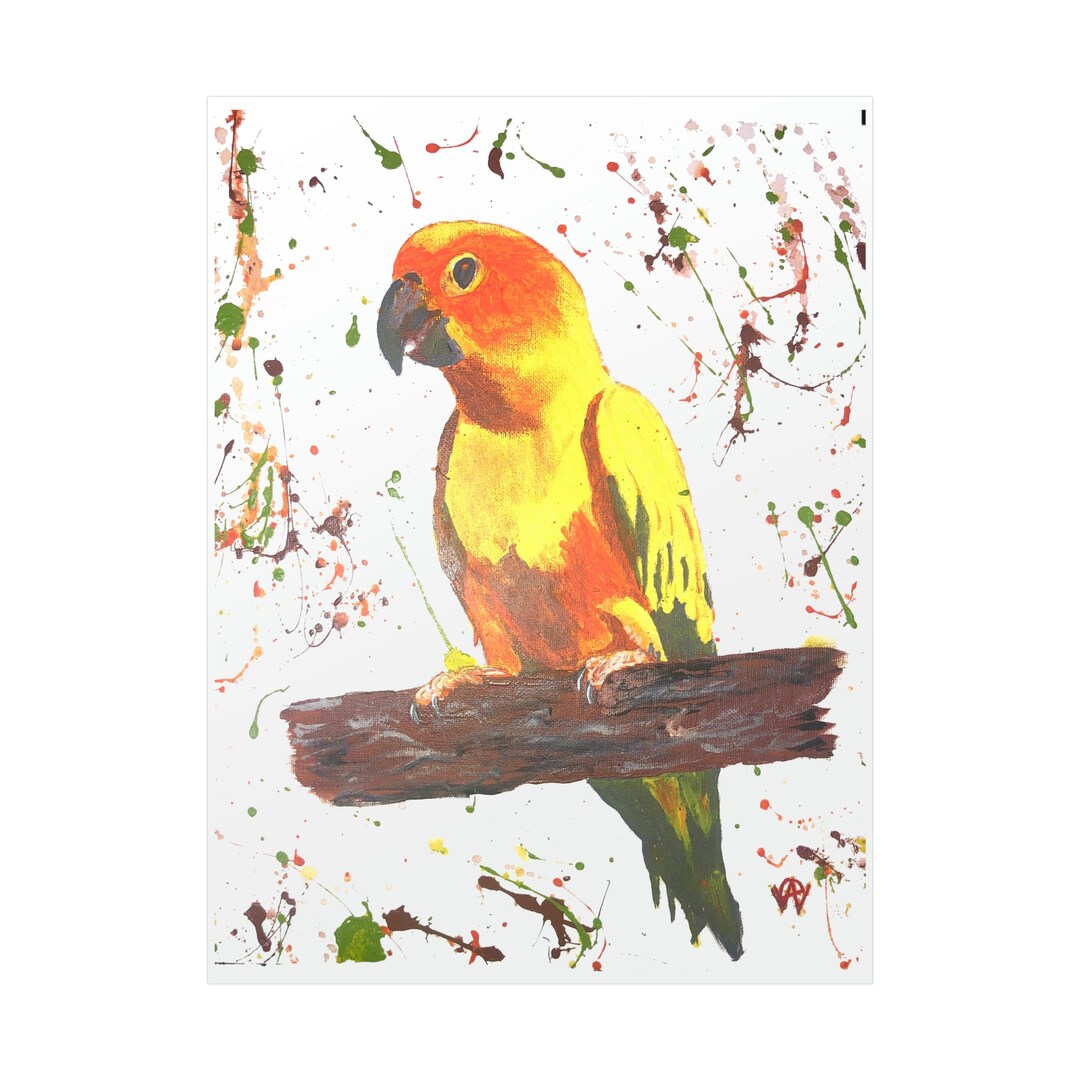 Rolled Poster Sonny the Sun Conure - Etsy