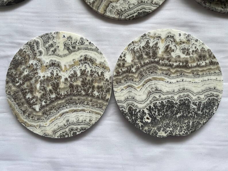 Dendritic Calcite Plates Wow Look at the Patterns - Etsy Australia