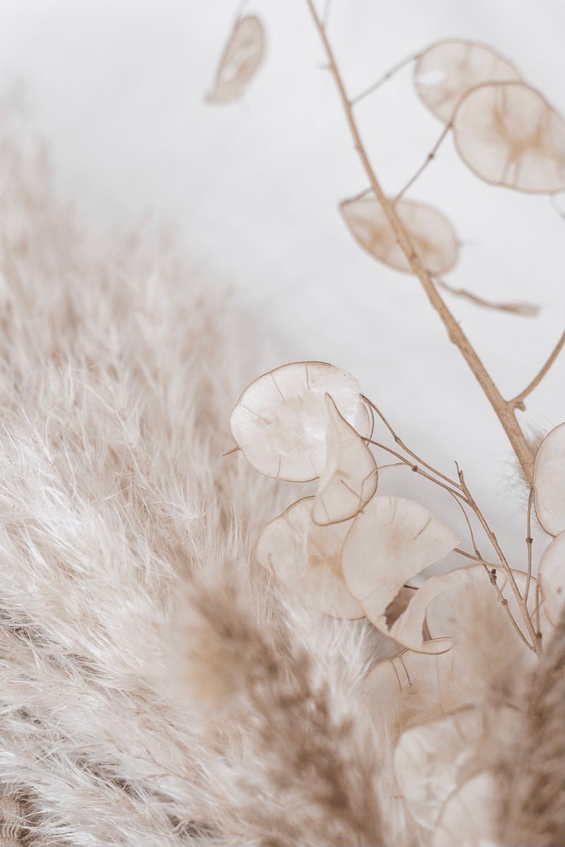 Luxury Beige Aesthetic Collage (140) *DIGITAL&PRINTABALE* - Etsy