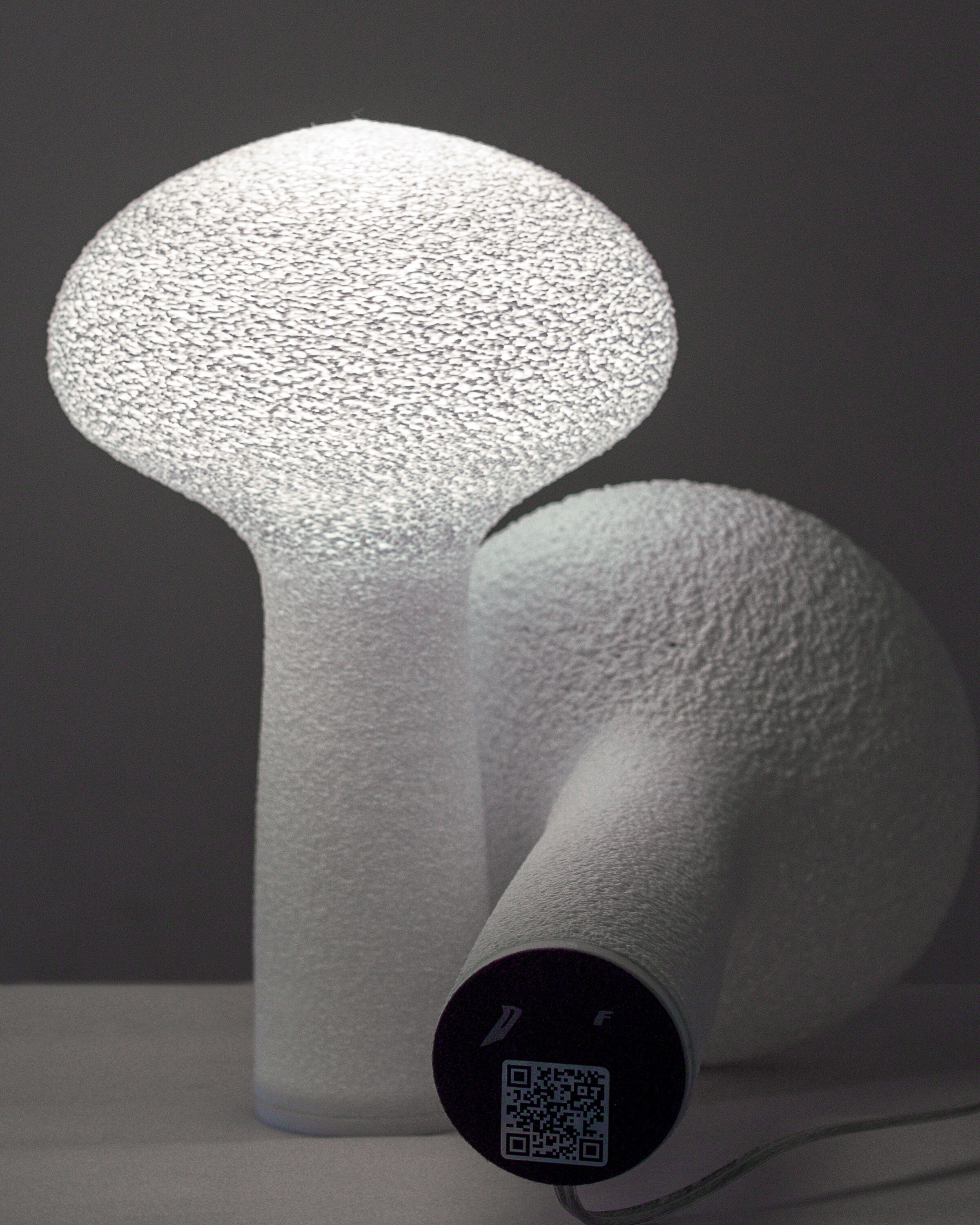 Plant Based Orb Lamp - 3D Printed Lamps of the Future - Unique Mood ...