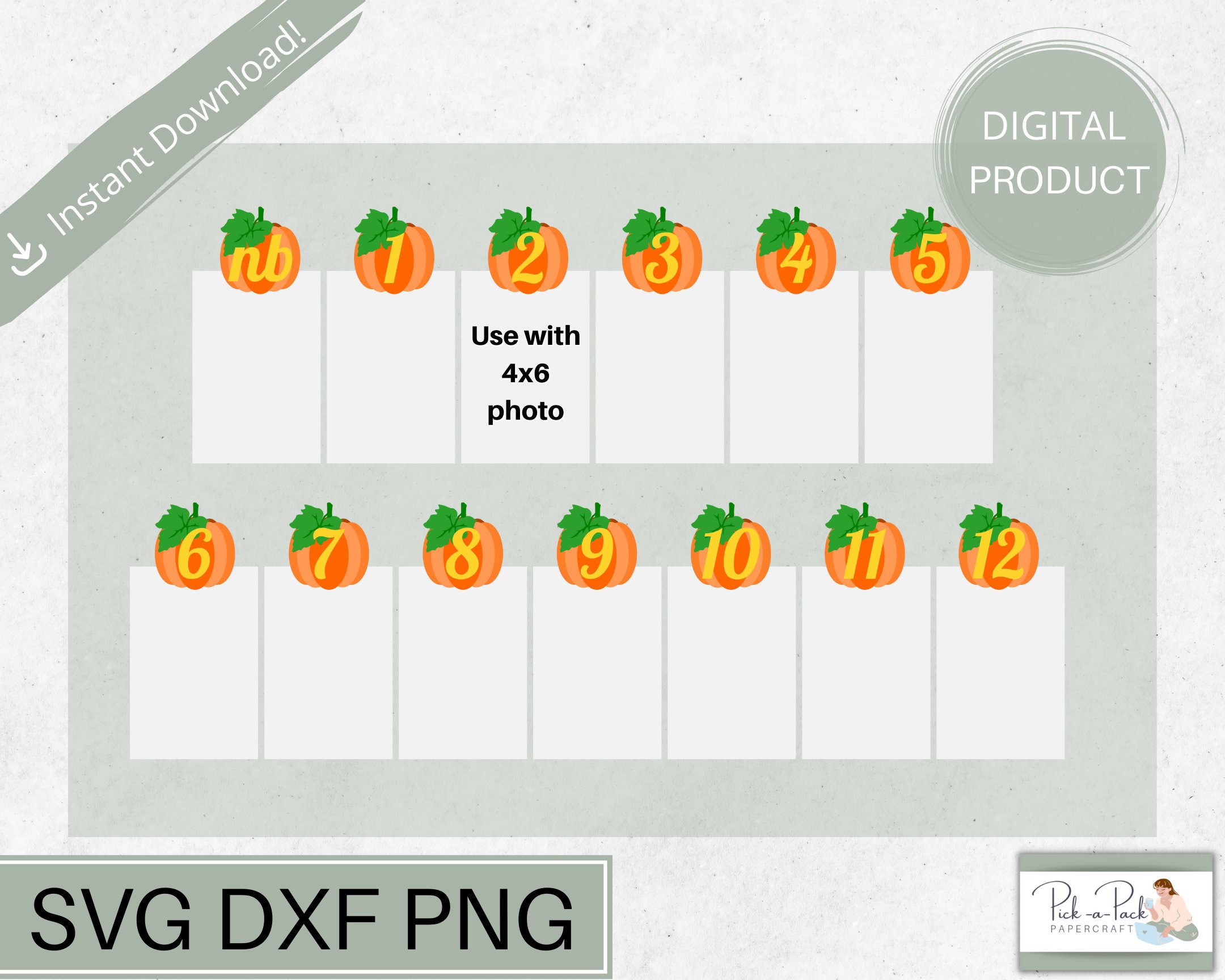 Monthly Milestone Photo Banner SVG First Birthday Party Decorations PNG ...