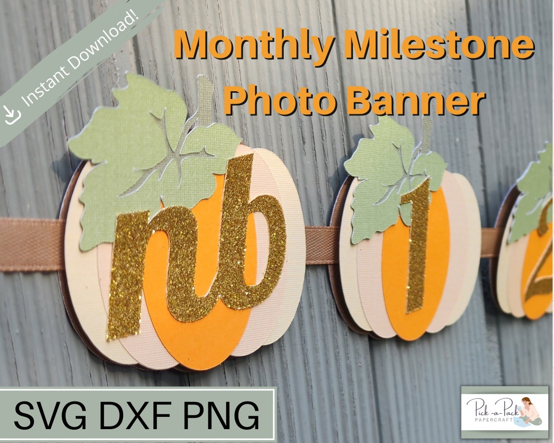 Monthly Milestone Photo Banner SVG | First Birthday Party Decorations ...