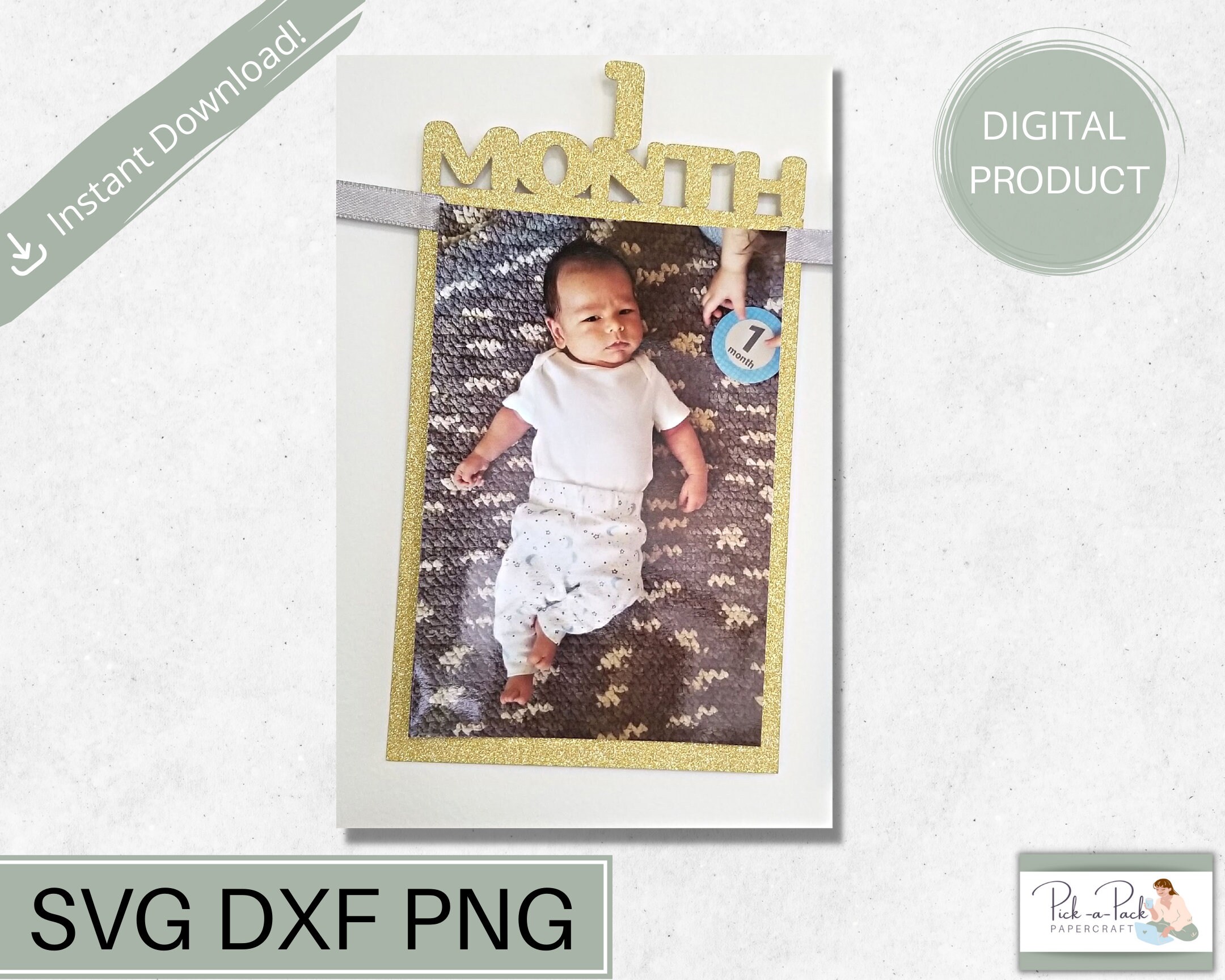 Monthly Photo Plaques SVG 1st Birthday Banner Baby Milestones PNG DXF ...