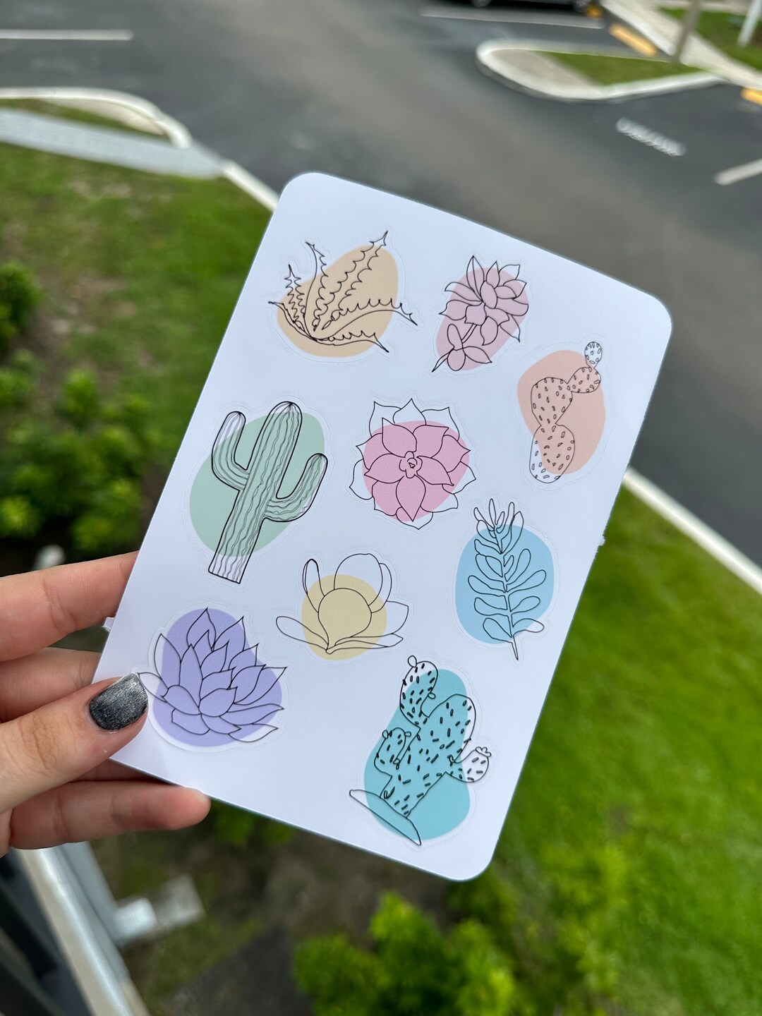 Succulent Sticker Sheet | Cactus Sticker Sheet | Plant Stickers ...