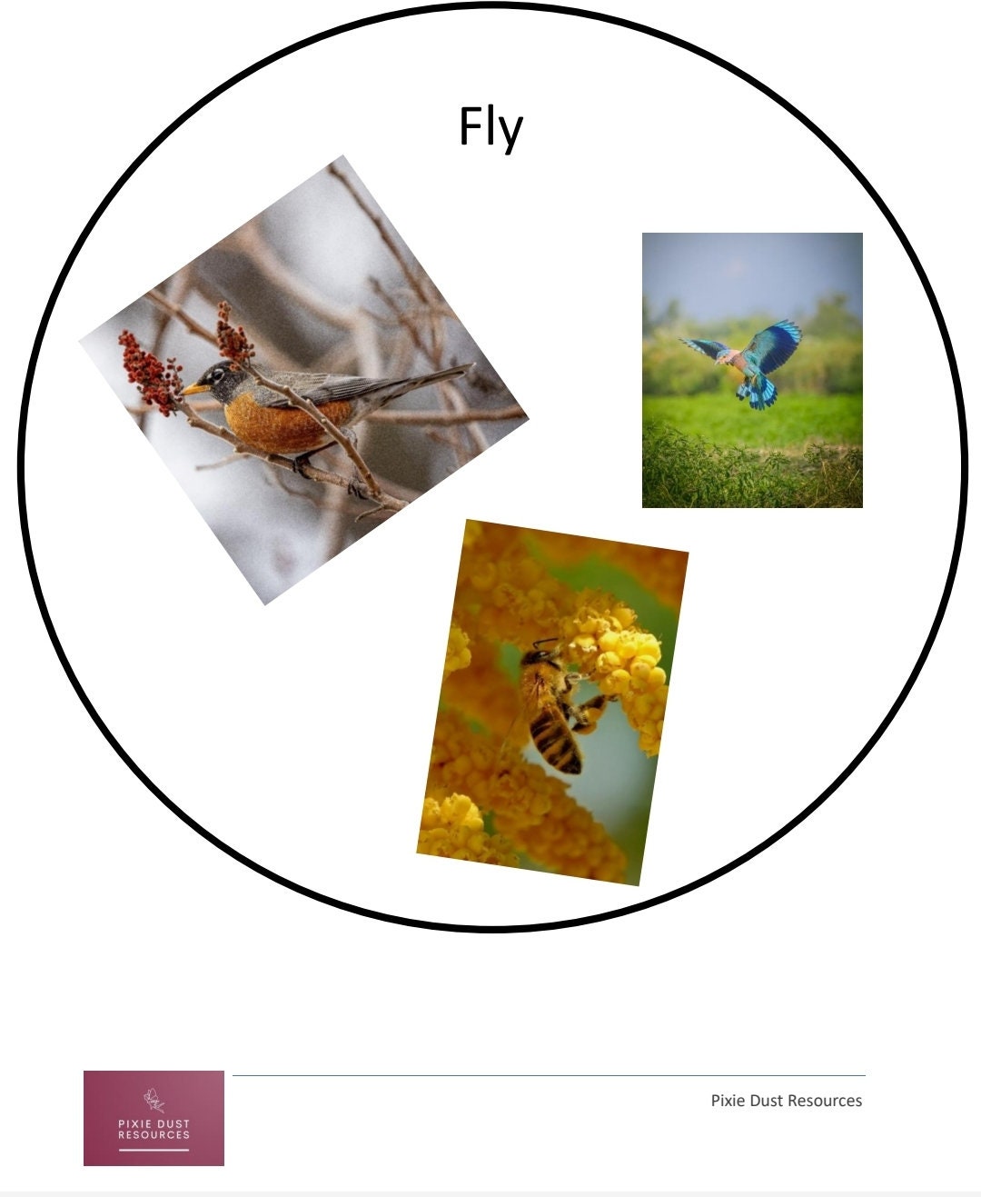 Printable Animal Sorting Activity, Cutting and Sticking, Early Years ...