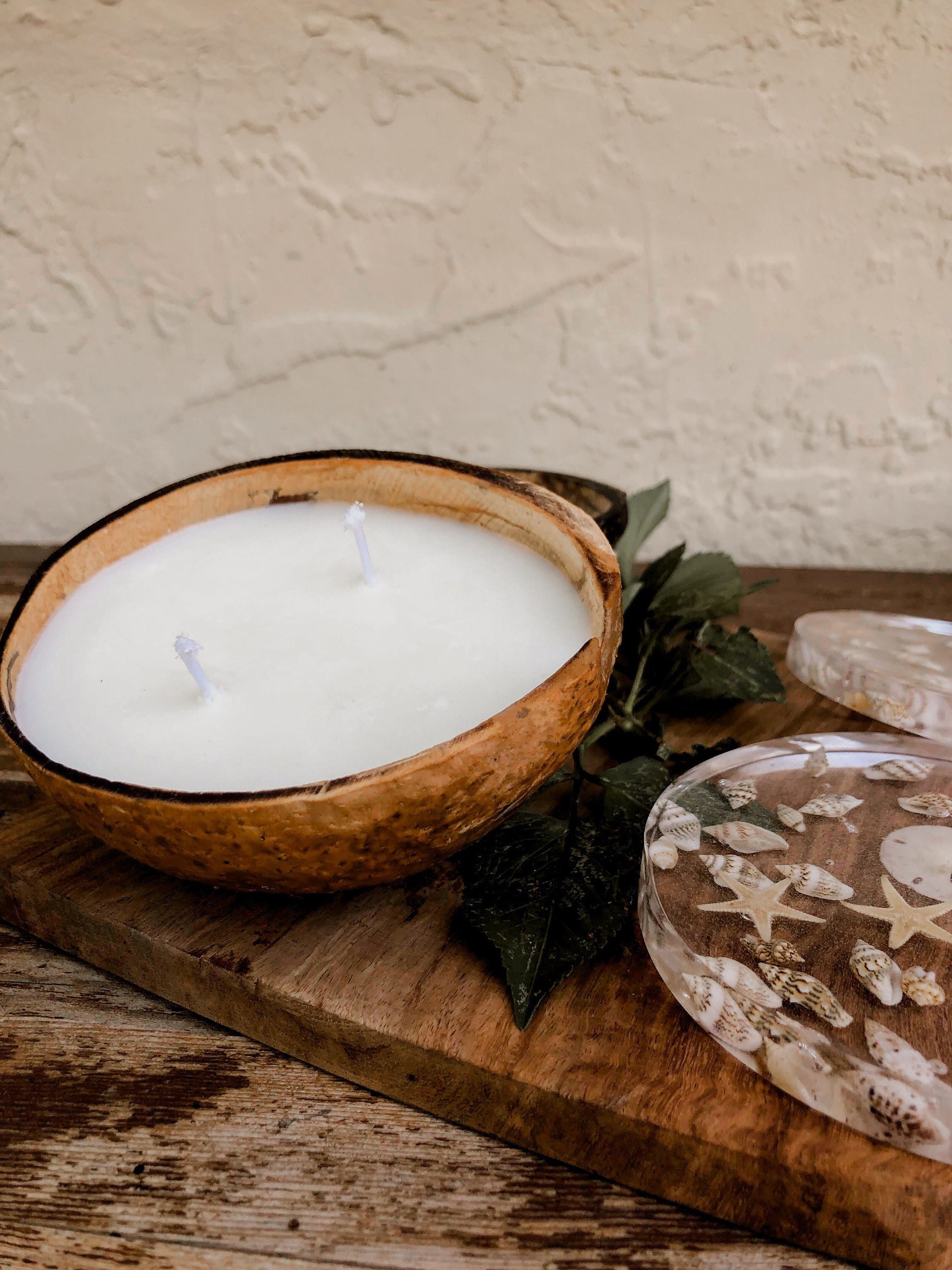 Carribean Coconut Shell Candle 100% Coconut & Beeswax Blend - Etsy