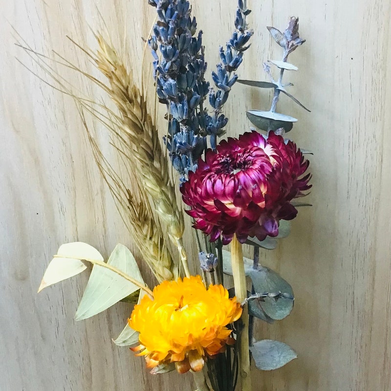 Bloomley (Dispatched from: Australia) - Etsy Australia