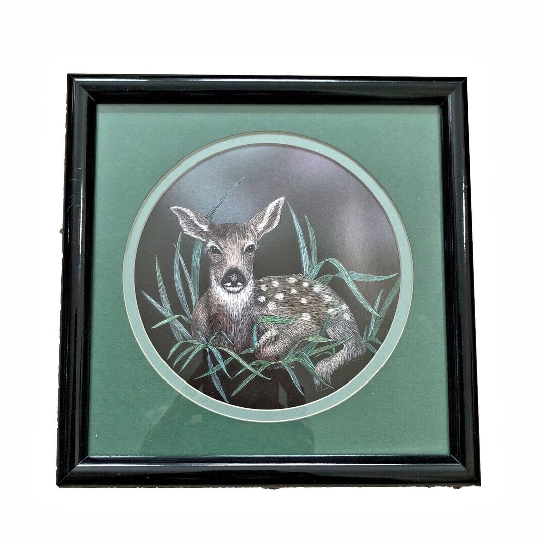 Sharon Wald Signed Scratchboard Original Whitetail Deer Fawn Etching ...