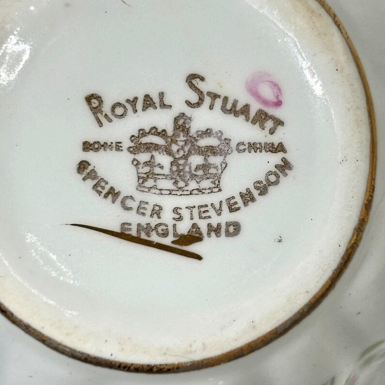 Royal Stuart Roses Teacup Saucer Spencer Stevenson Bone China Made ...