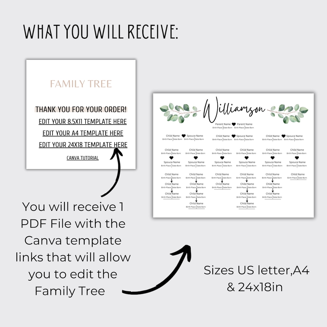 Editable Family Tree Template, Family Tree Printable, Genealogy ...