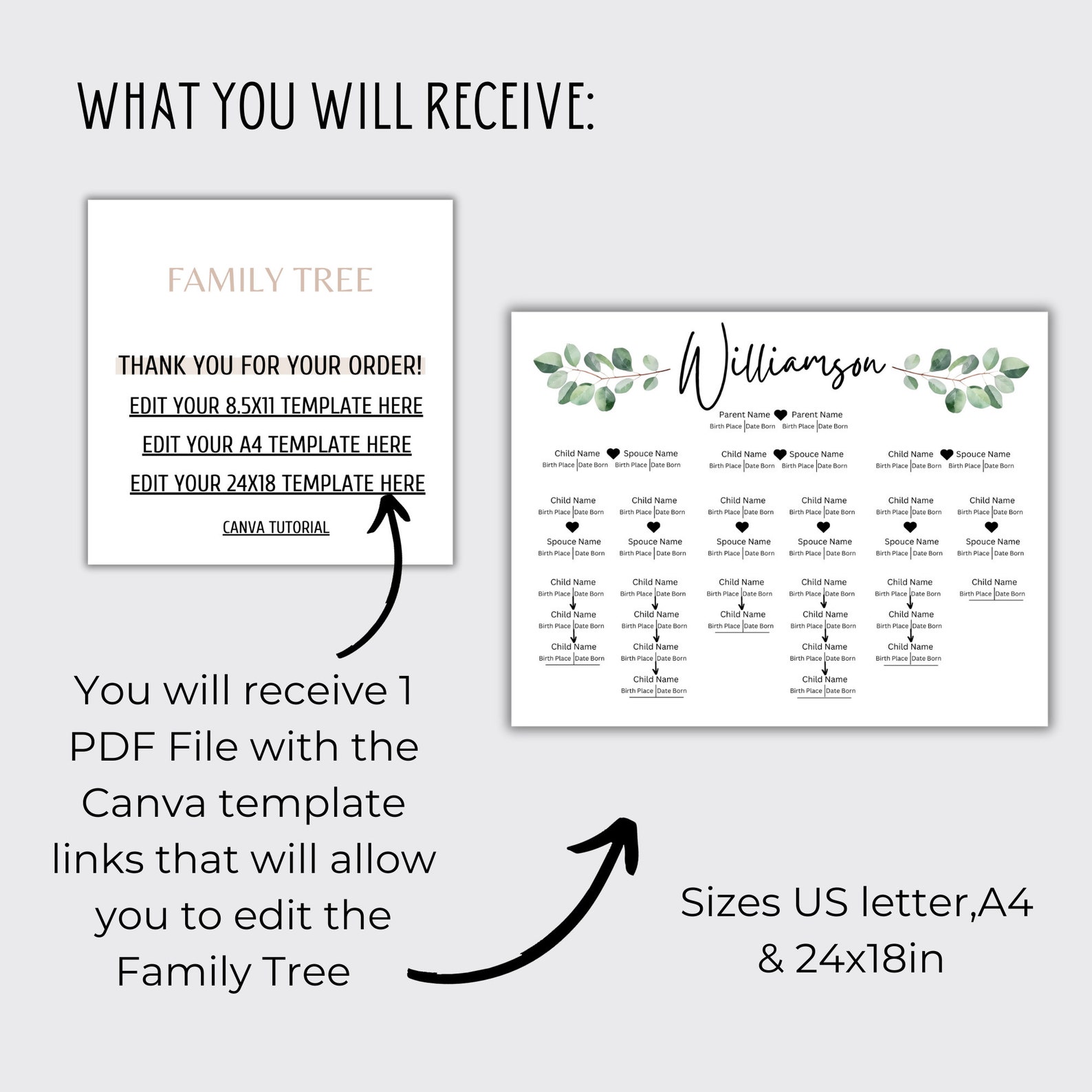 Editable Family Tree Template, Family Tree Printable, Genealogy ...