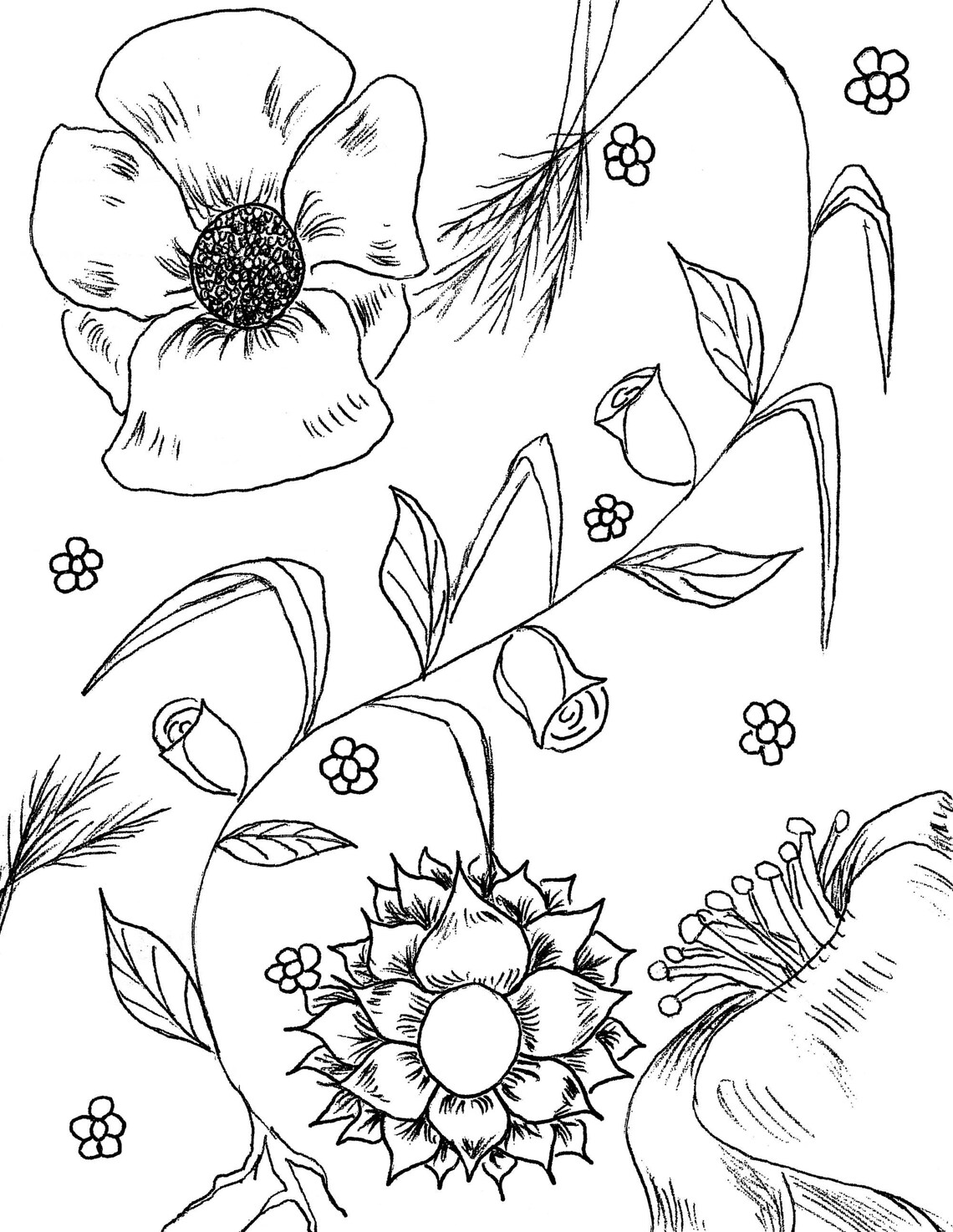 Downloadable Coloring Page of Detailed Flowers on a Vine | Etsy