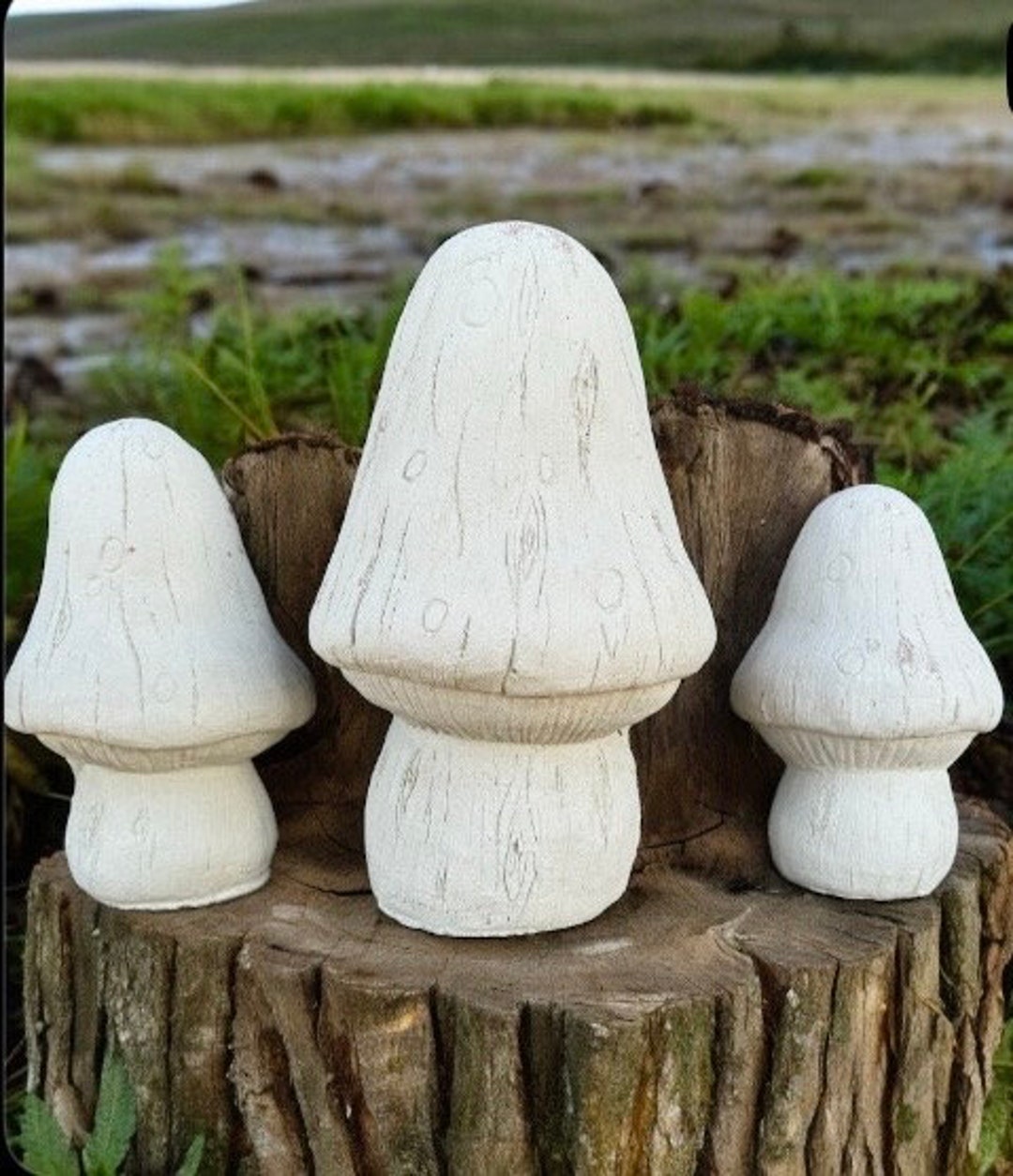 Concrete Mushrooms / Toadstools Set of 3 - Etsy