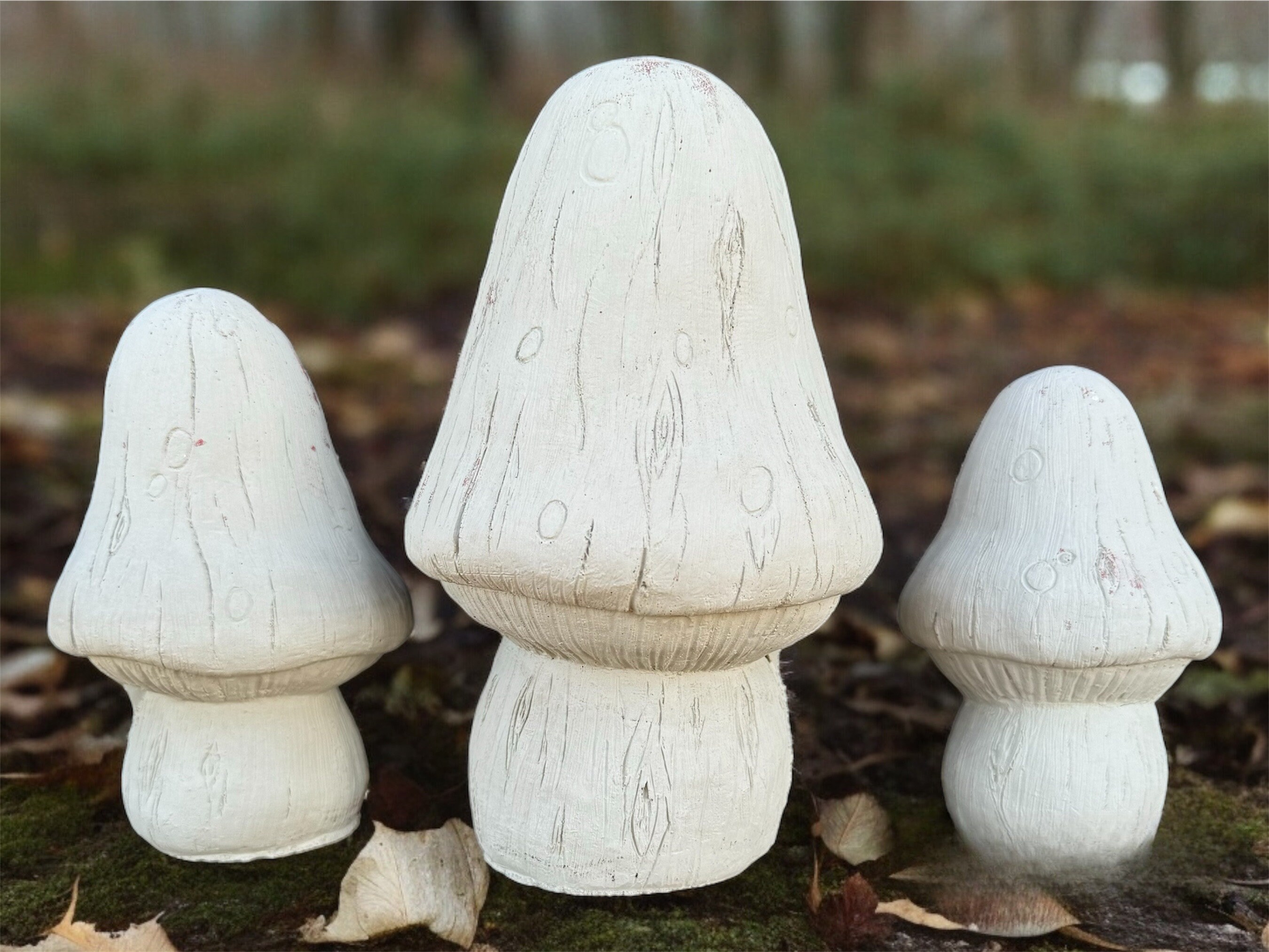 Concrete Mushrooms / Toadstools Set of 3 - Etsy