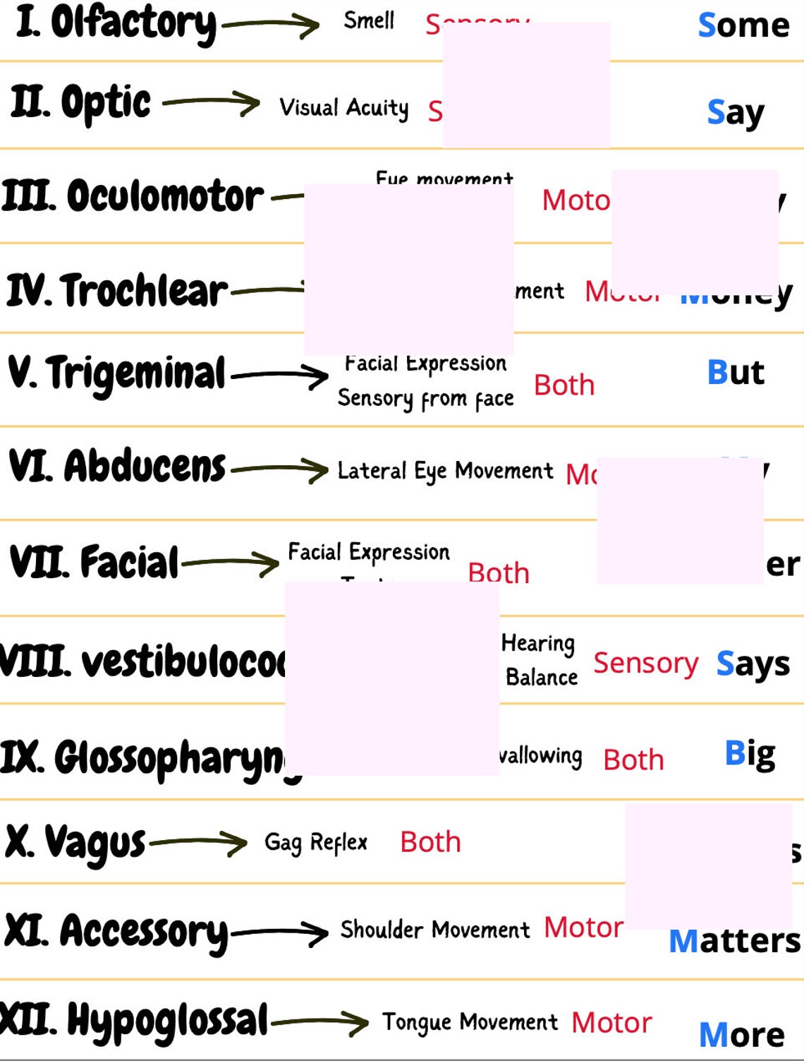 Cranial Nerves, Mnemonics, Easy to Remember Guide - Etsy Australia