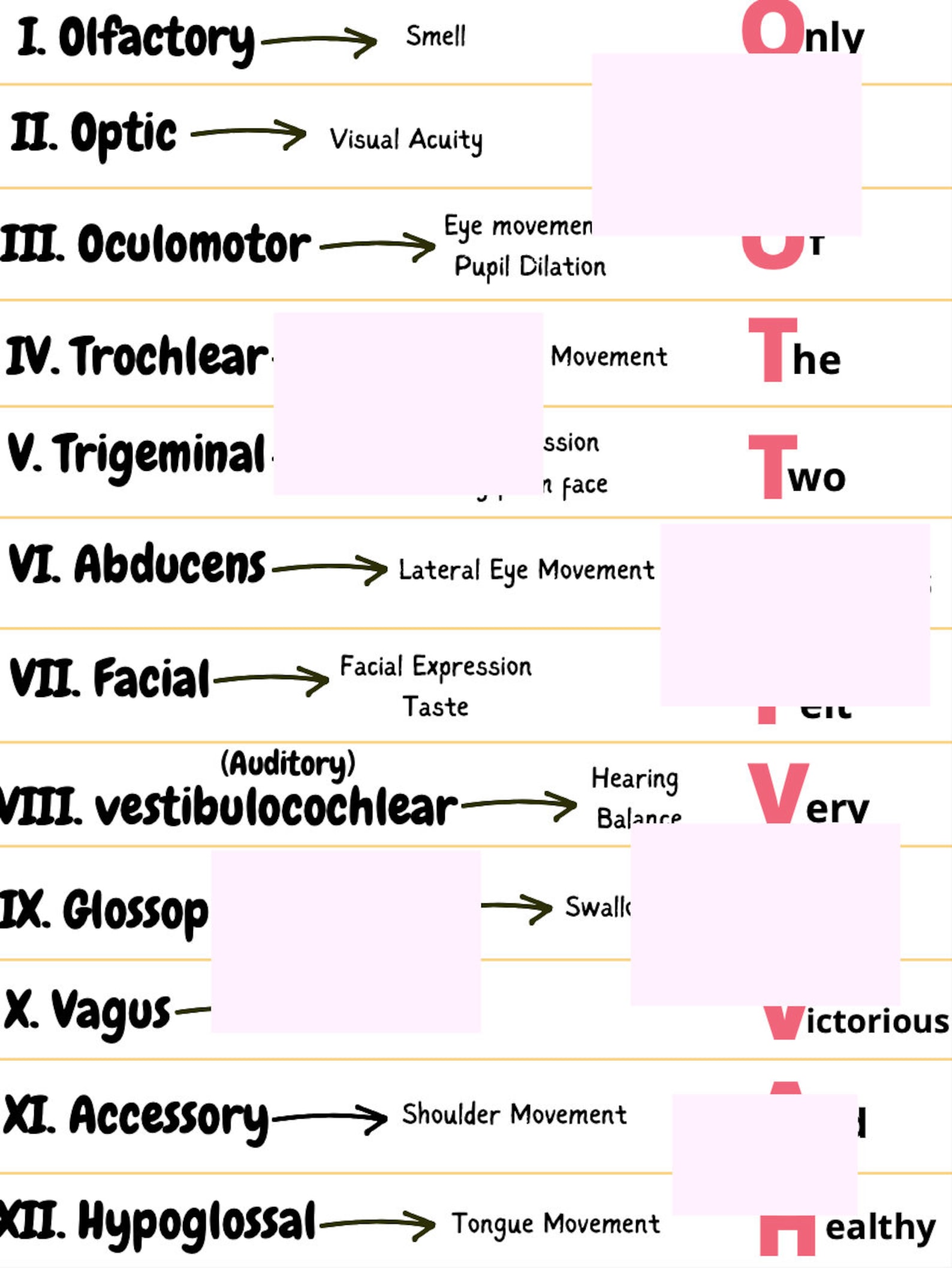Cranial Nerves, Mnemonics, Easy to Remember Guide - Etsy