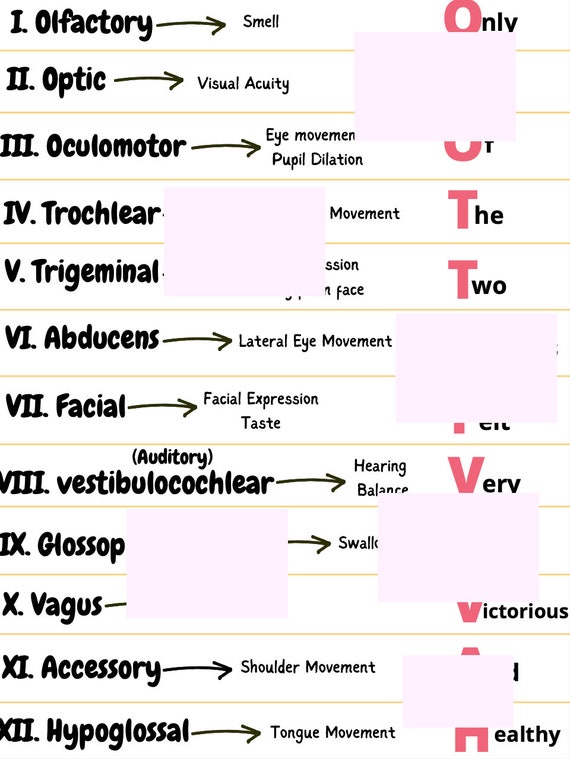 Cranial Nerves Face Mnemonic