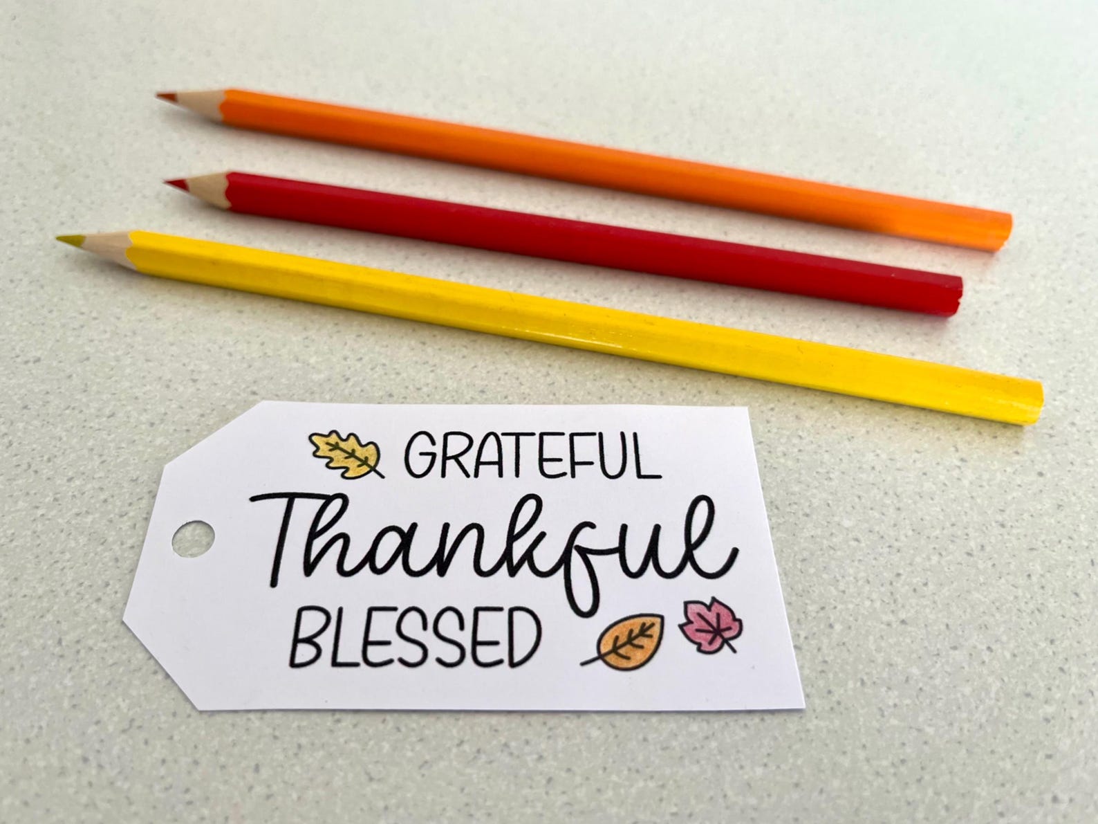 Printable Thanksgiving Gift Tag | Grateful Thankful Blessed | Digital ...