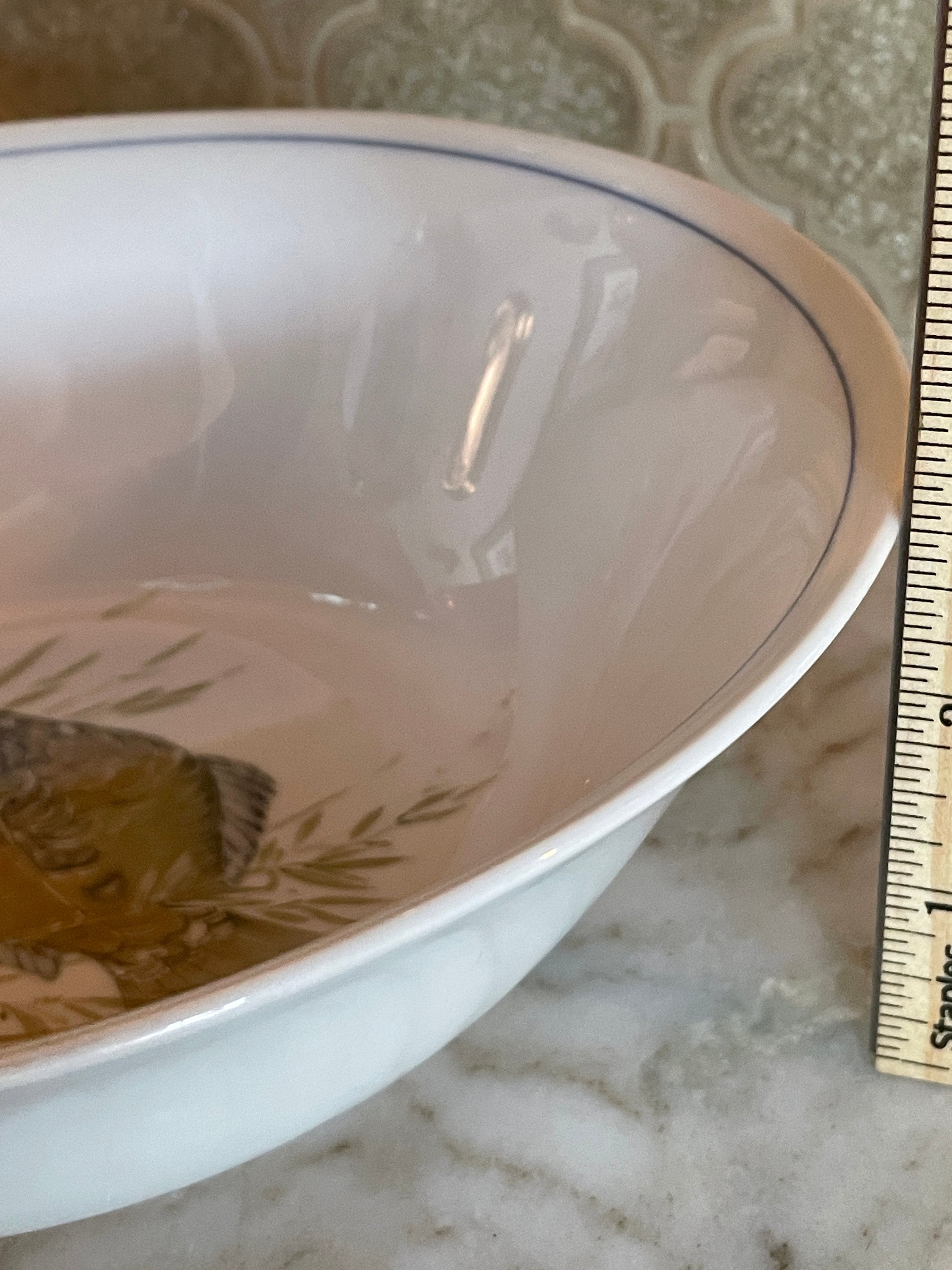 Gorgeous Vohenstrauss Johann Seltmann Weiner, Bavaria, Germany Hand ...