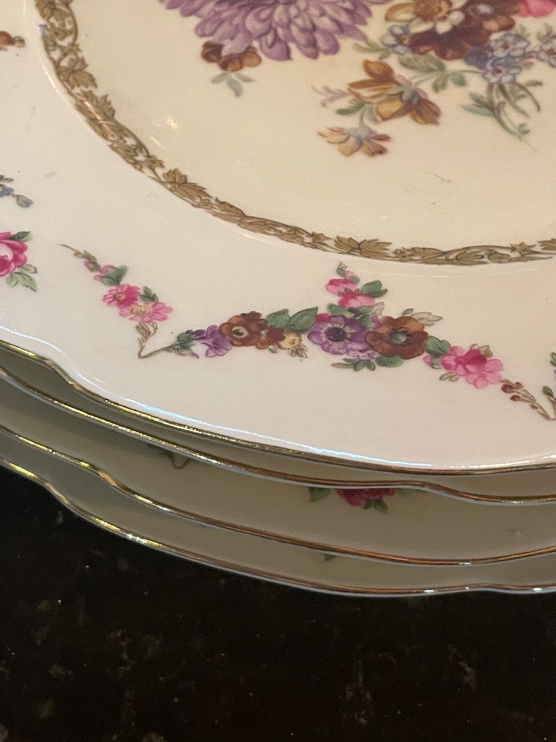 BARONET 1940s FB Baronet Wild Flower Floral 10 1/2 Heavy Dinner Plates ...