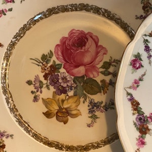 BARONET 1940s FB Baronet Wild Flower Floral 10 1/2 Heavy Dinner Plates ...