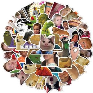 50PCS Funny Meme Stickers Pack, Vinyl, Quote Waterproof Stickers for ...