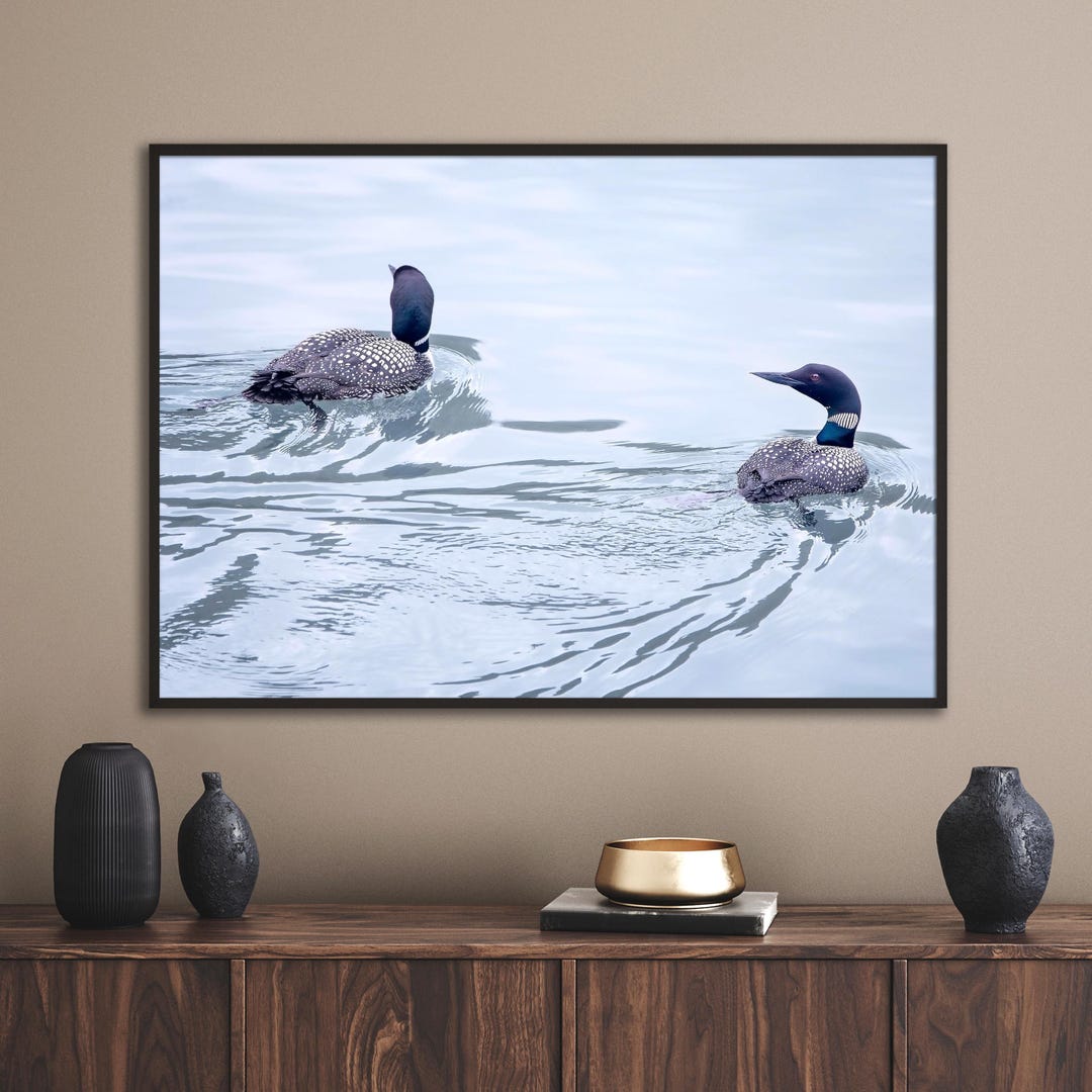 Printable Loon Wall Art, Wildlife Photography, Loon Digital Print ...