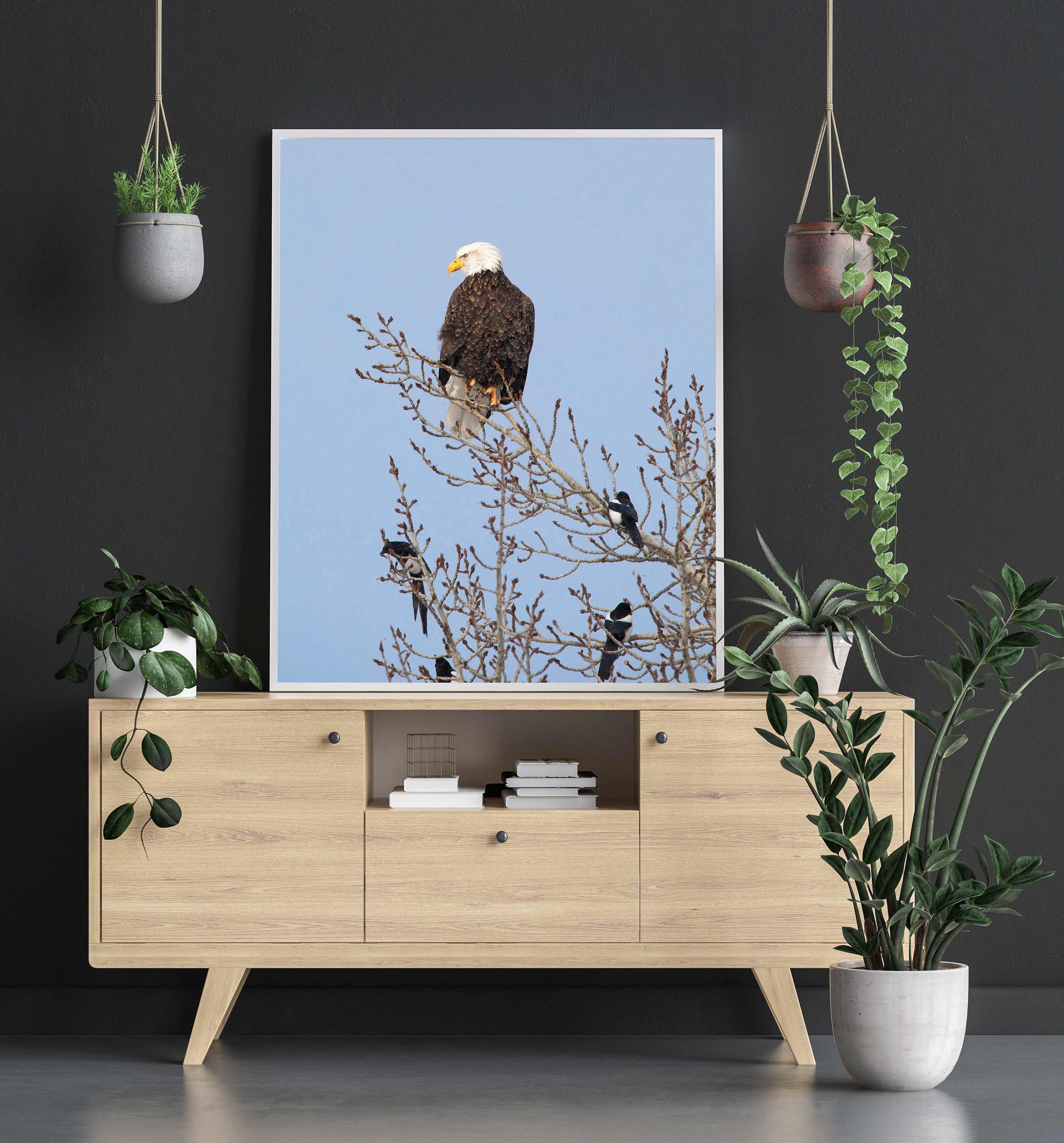 Bald Eagle Digital Print Printable Wildlife Photography - Etsy