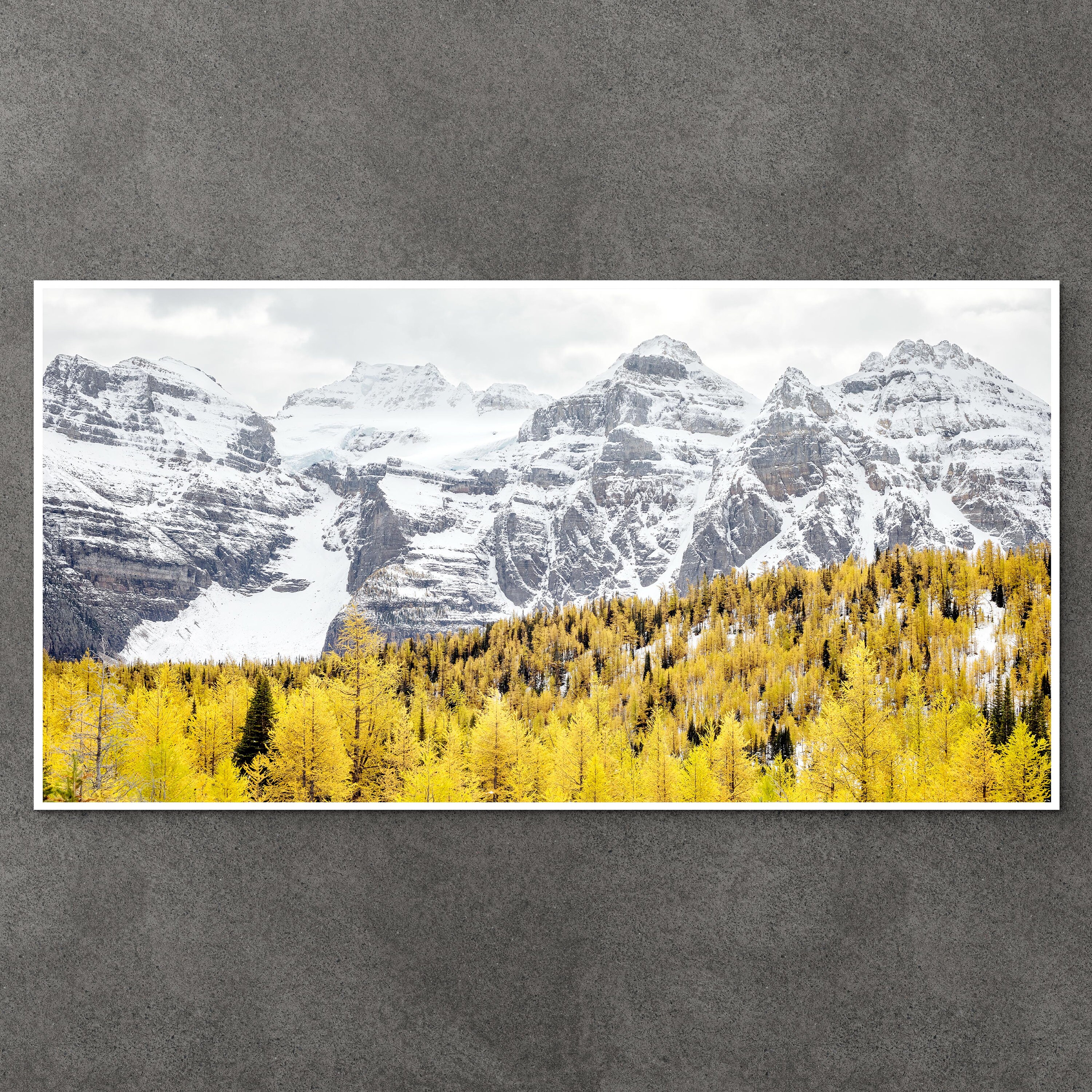 Larch Valley Panorama Digital Print, Download Long Landscape Print ...