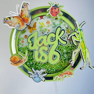 Bug Insect Theme 3D Shaker Cake Topper | Creepy Crawly Cake Topper ...