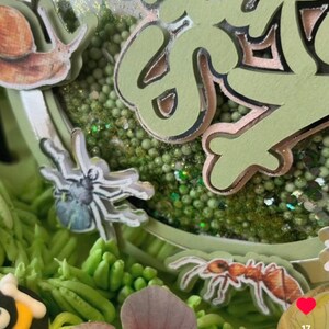 Bug Insect Theme 3D Shaker Cake Topper | Creepy Crawly Cake Topper ...