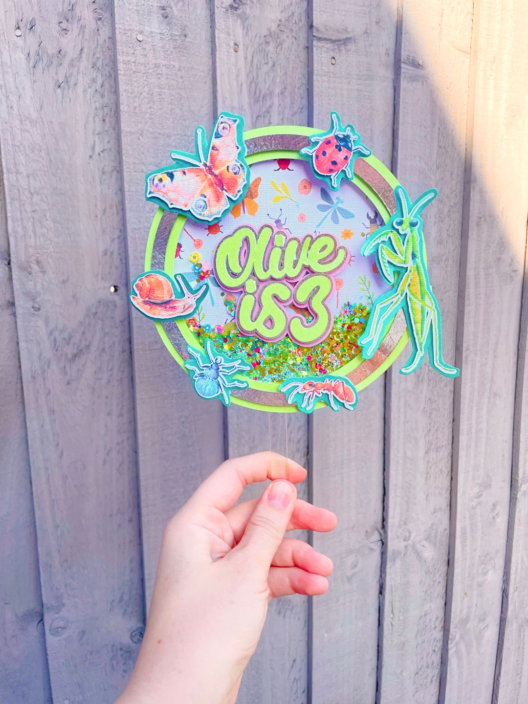 Bug Insect Theme 3D Shaker Cake Topper | Creepy Crawly Cake Topper ...