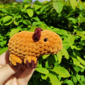 Beginner Crochet Kit, Crochet Craft Kit With Yarn, Crochet Capybara ...
