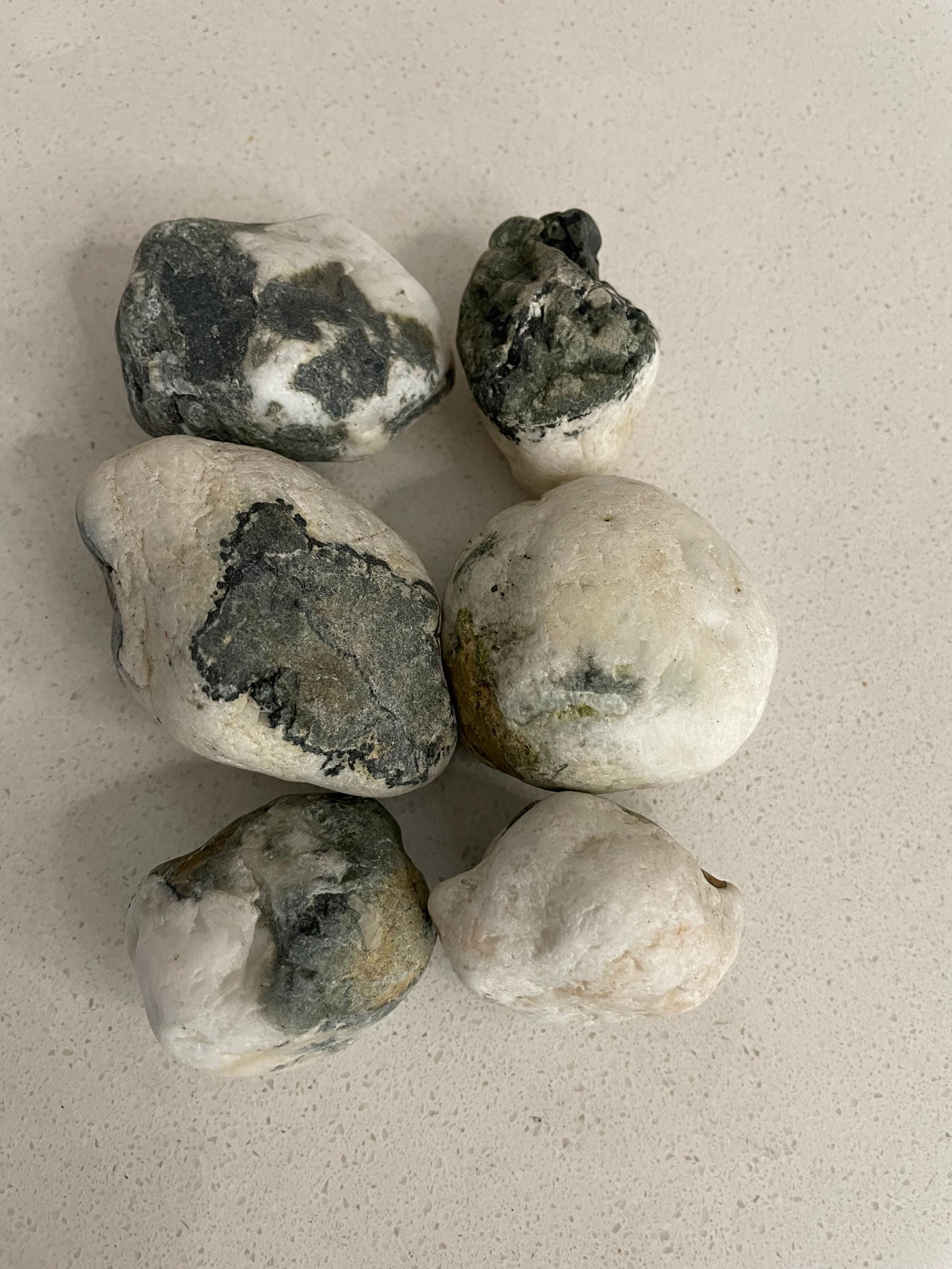 Dallasite Gem Stones - Rare Vancouver Island - Etsy