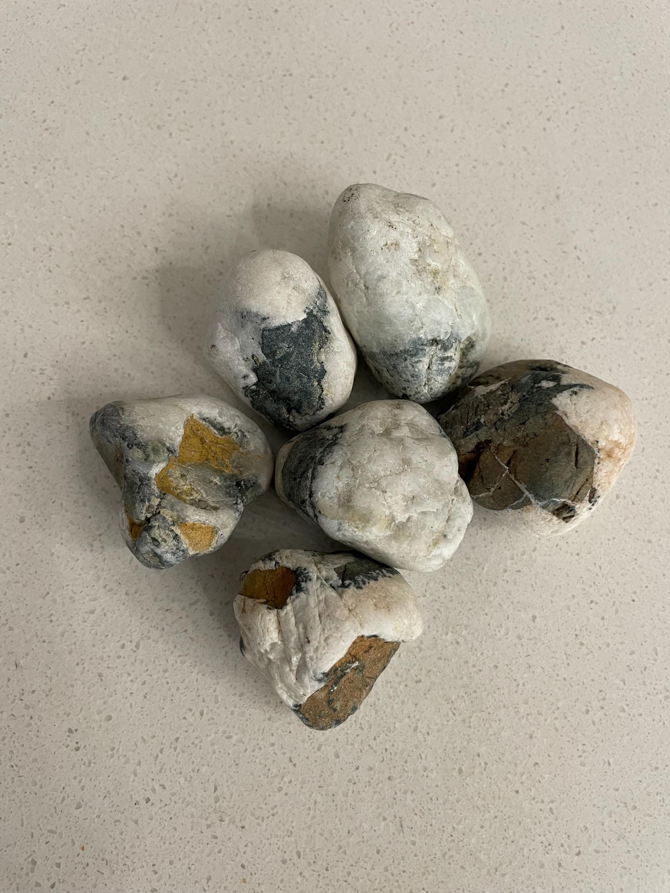Dallasite Gem Stones - Rare Vancouver Island - Etsy