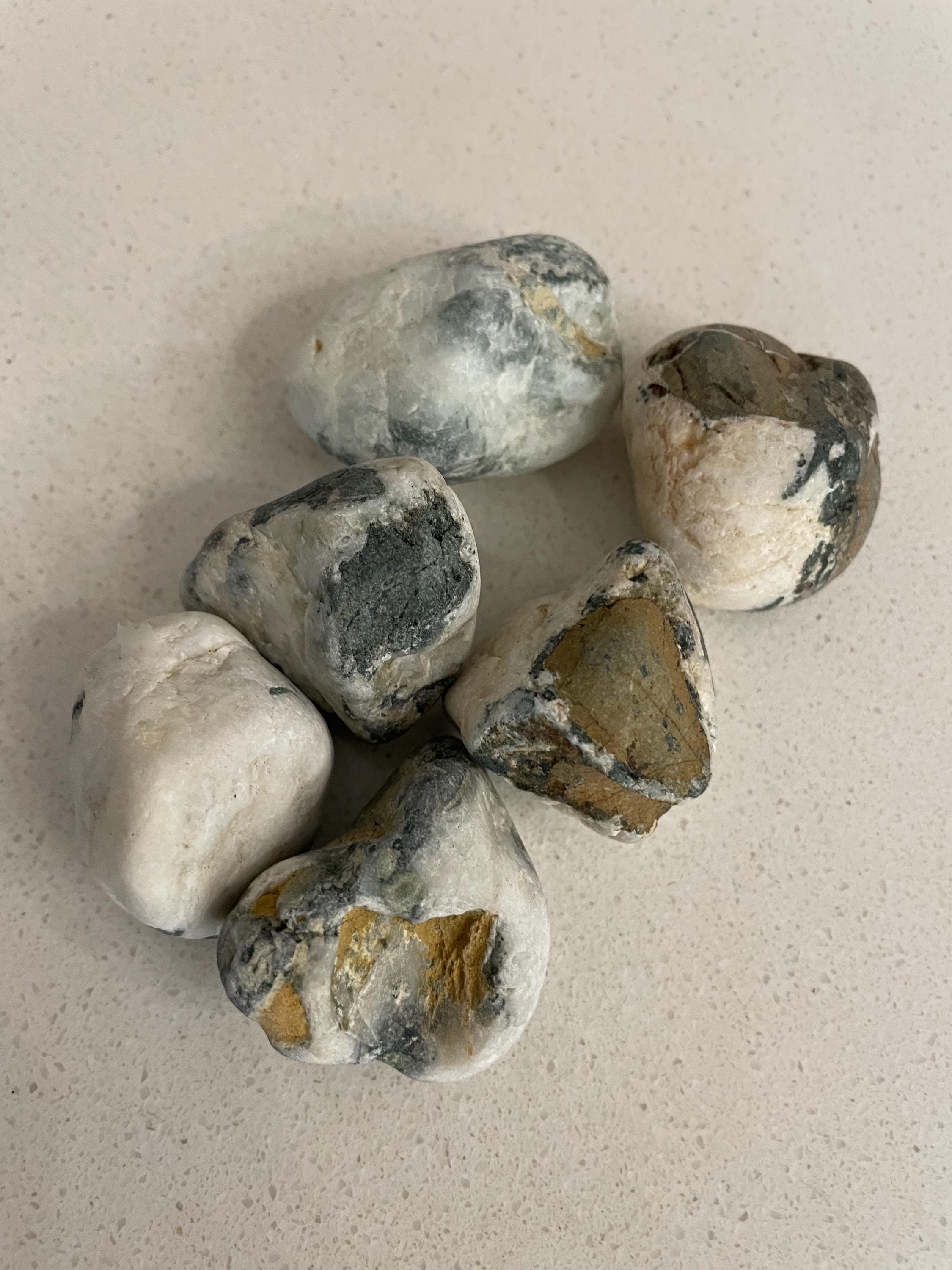 Dallasite Gem Stones - Rare Vancouver Island - Etsy