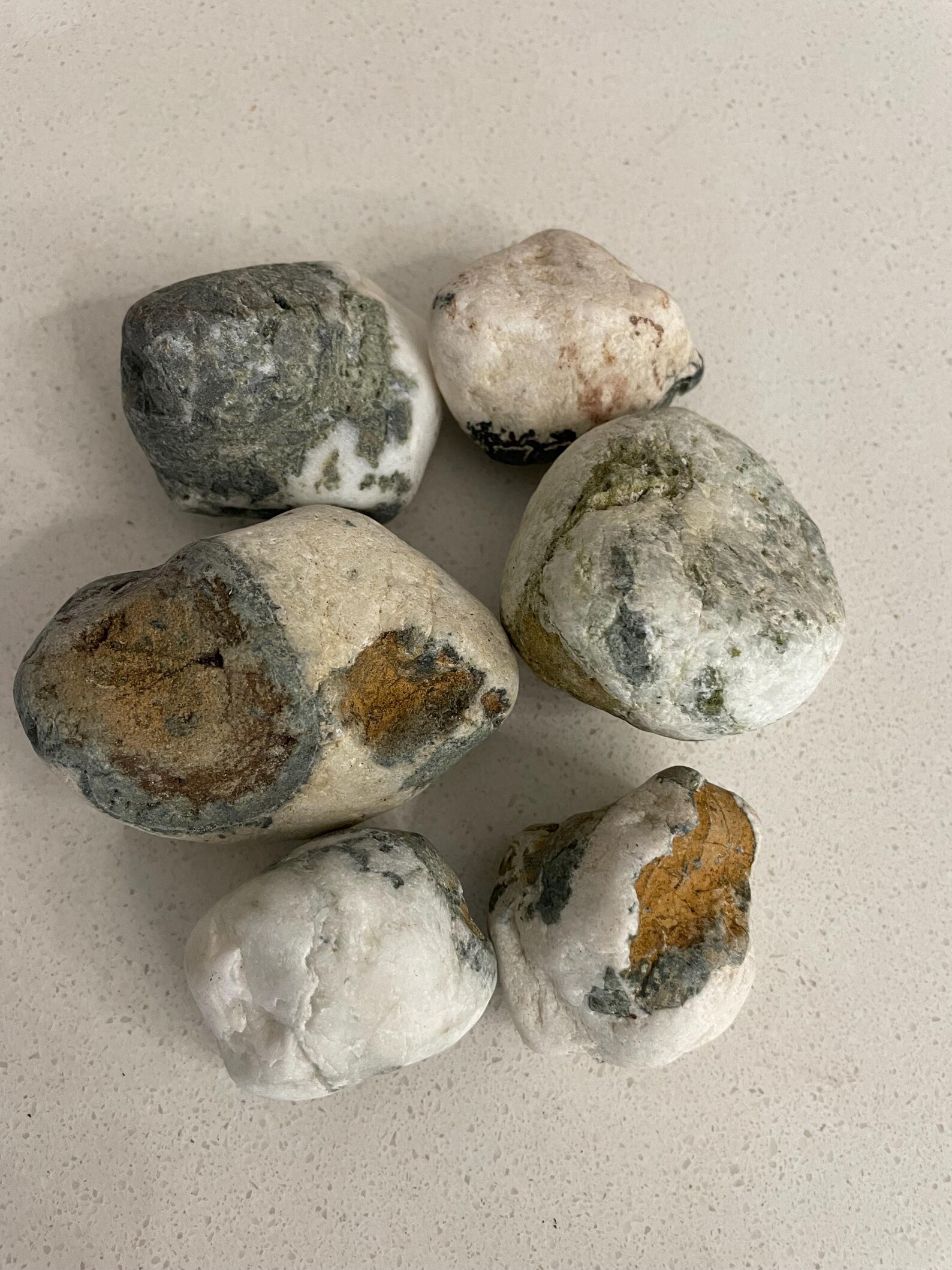 Dallasite Gem Stones - Rare Vancouver Island - Etsy