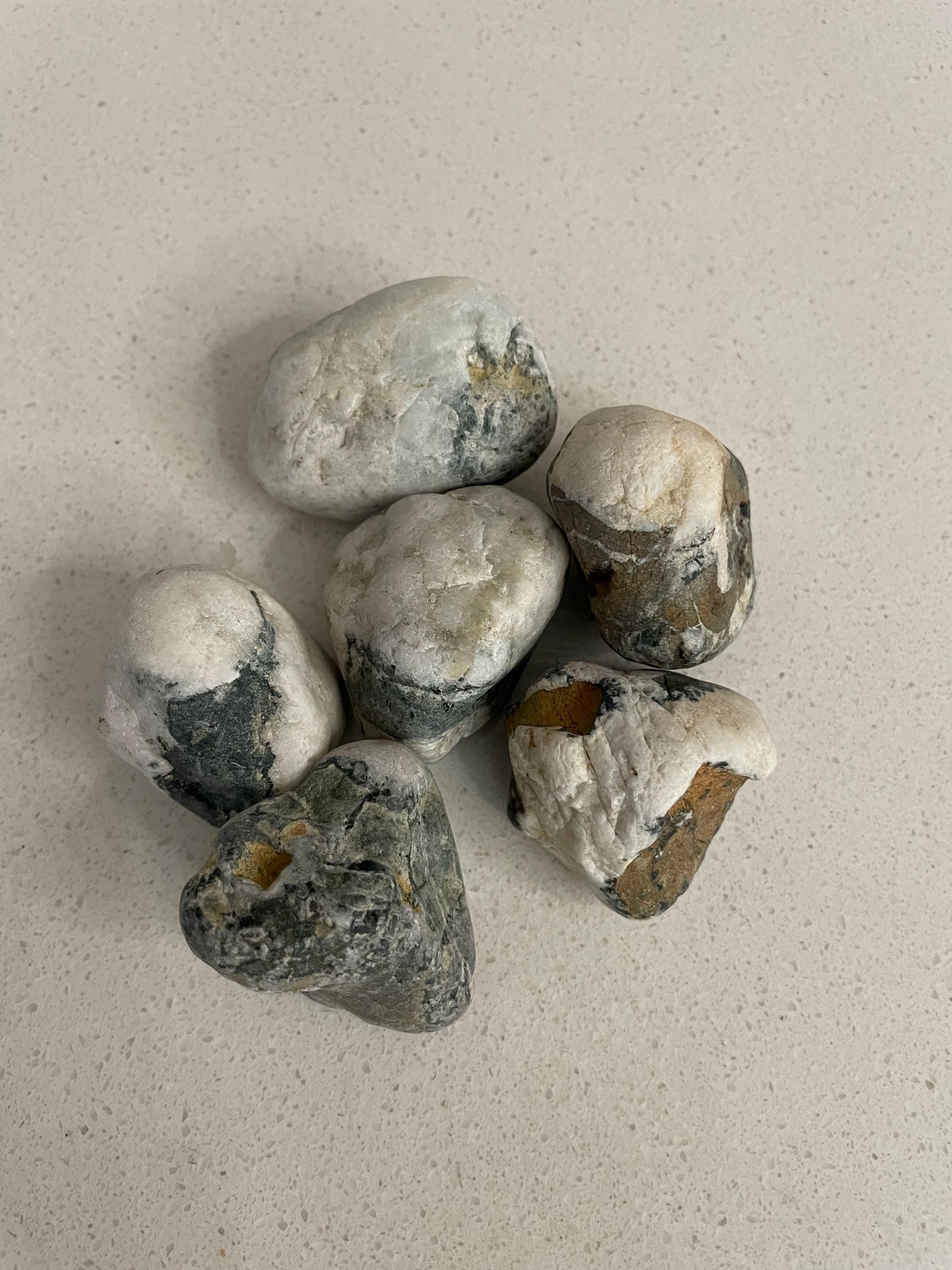 Dallasite Gem Stones - Rare Vancouver Island - Etsy