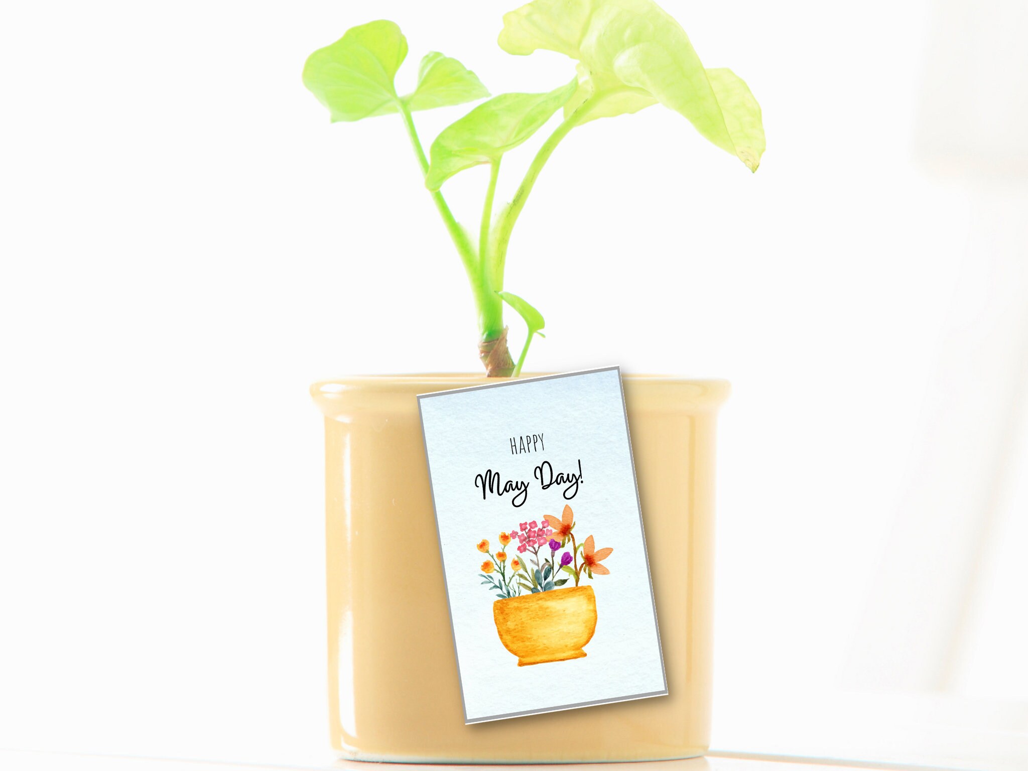 May Day Basket Printable Cards, 8 Assorted Designs, Print at Home May ...
