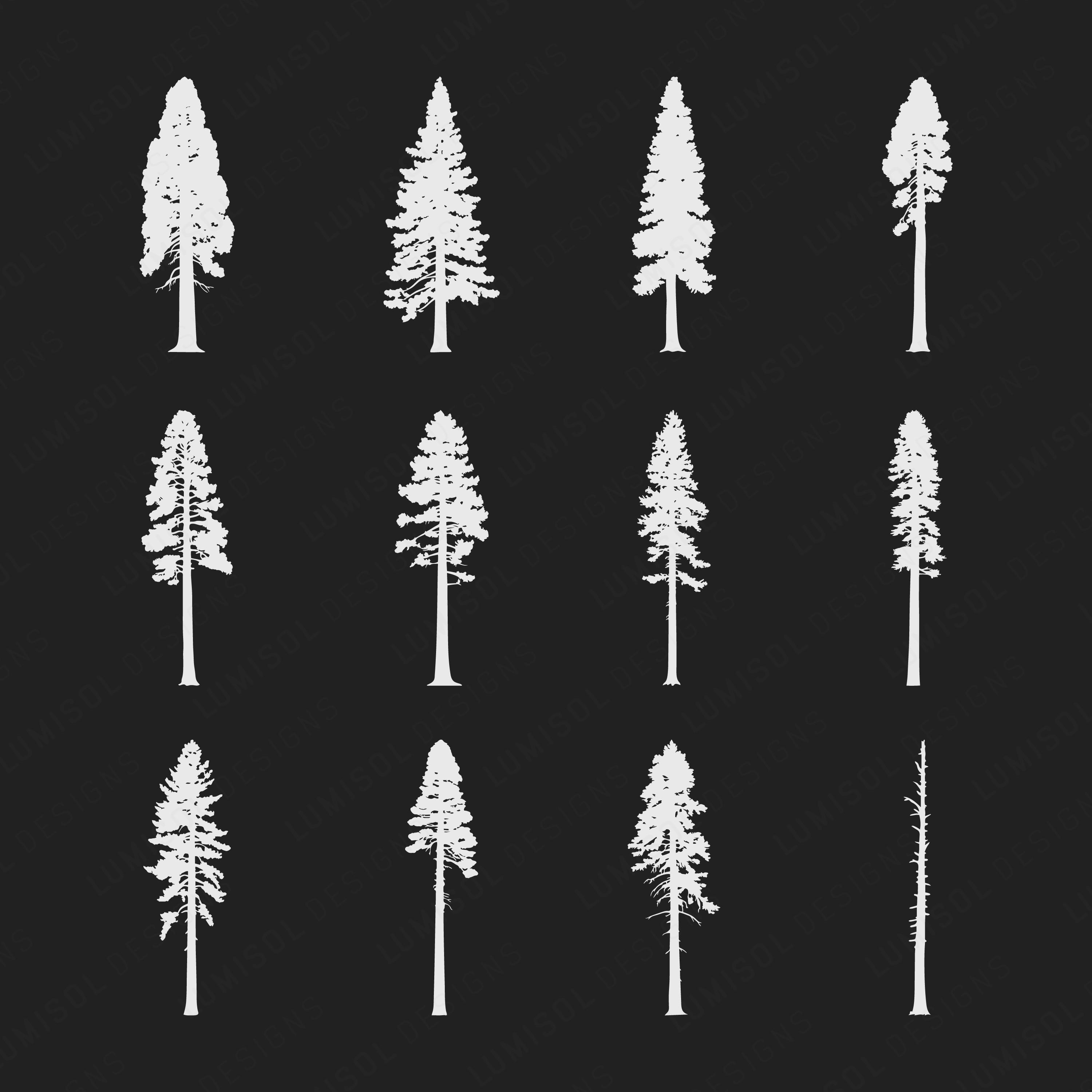Redwood Tree Silhouette SVG Bundle: 12 Nature Vectors (digital Files ...