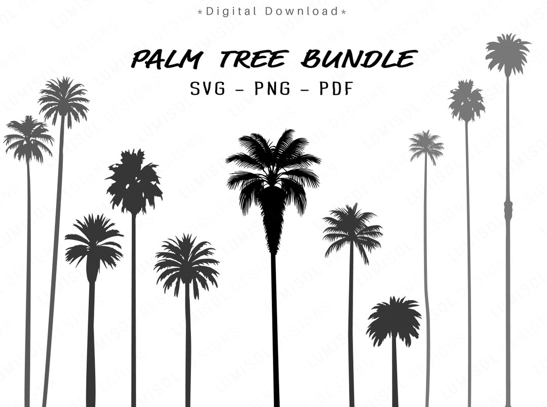 Realistic Palm Tree Svg Bundle | Palm Tree Silhouettes Png | Tropical ...