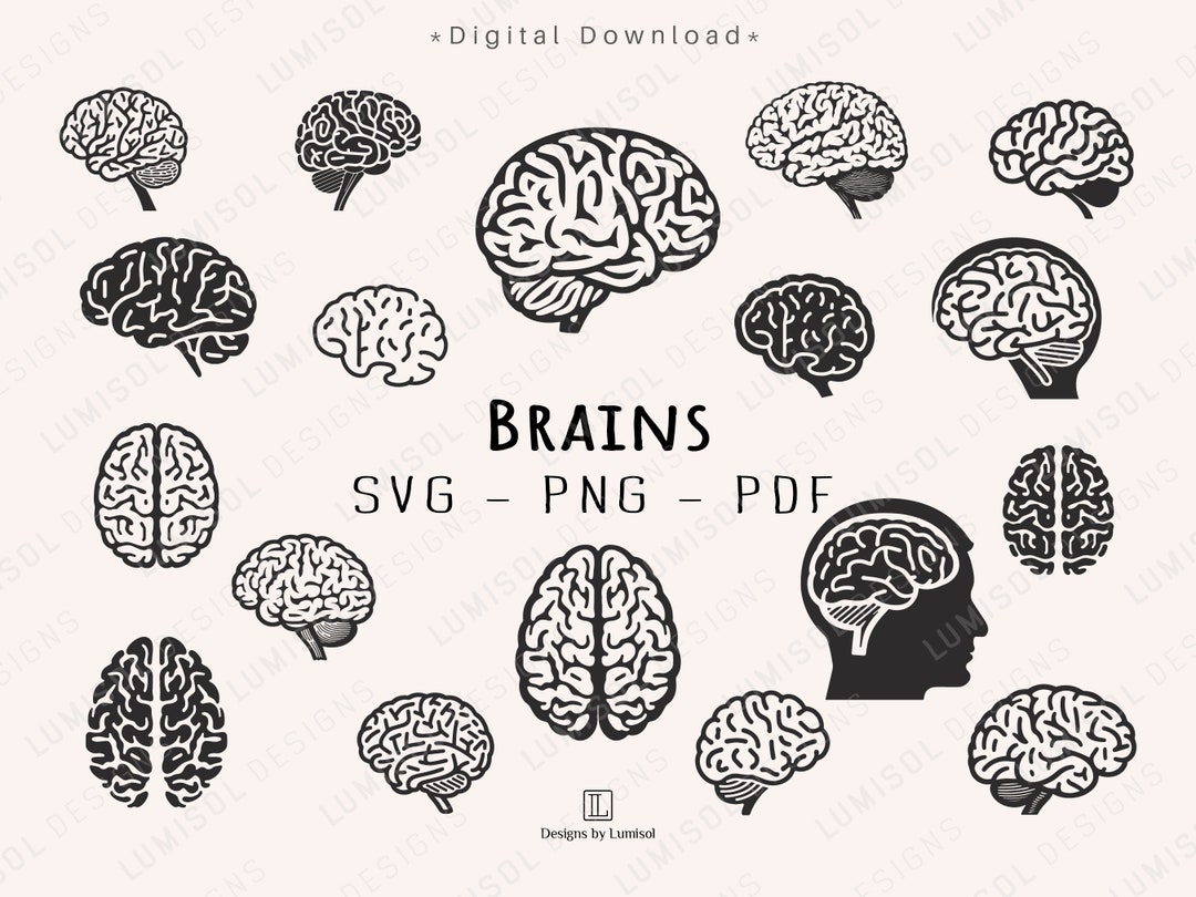 Brain SVG Bundle | Human Brain Clip Art | Brain PNG Silhouette ...