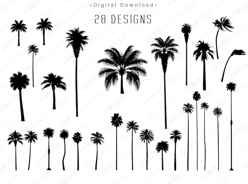 Realistic Palm Tree Svg Bundle Palm Tree Silhouettes Png - Etsy Canada