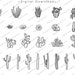 85 Cute Cactus and Succulent SVG MEGA BUNDLE | Desert Plant Set | Cut ...